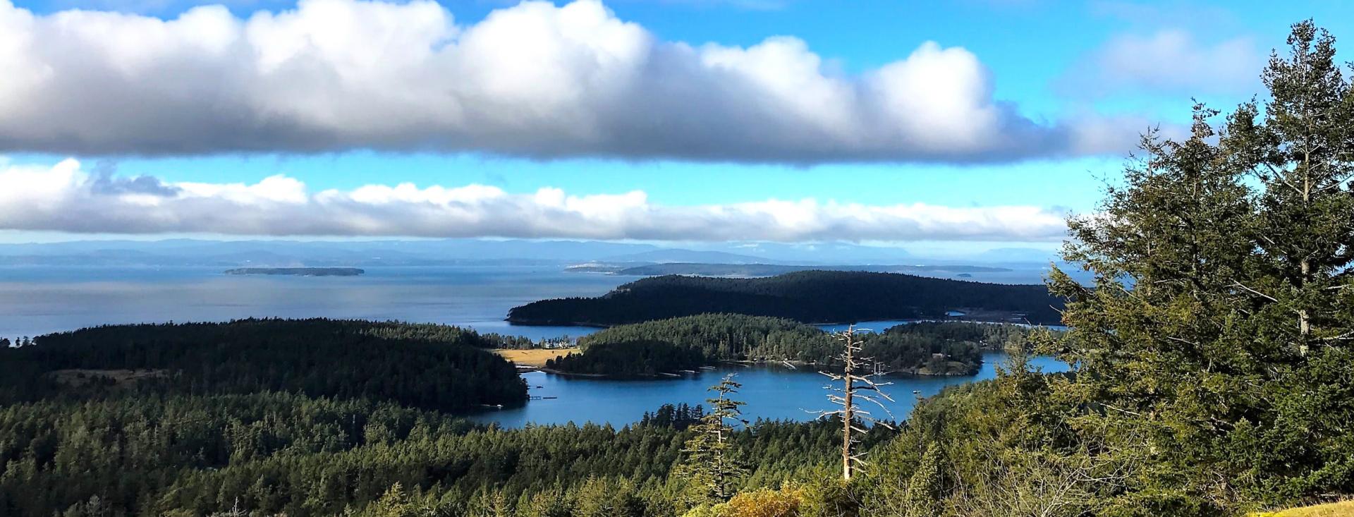 Our Specials at Bird Rock | Bird Rock Hotel