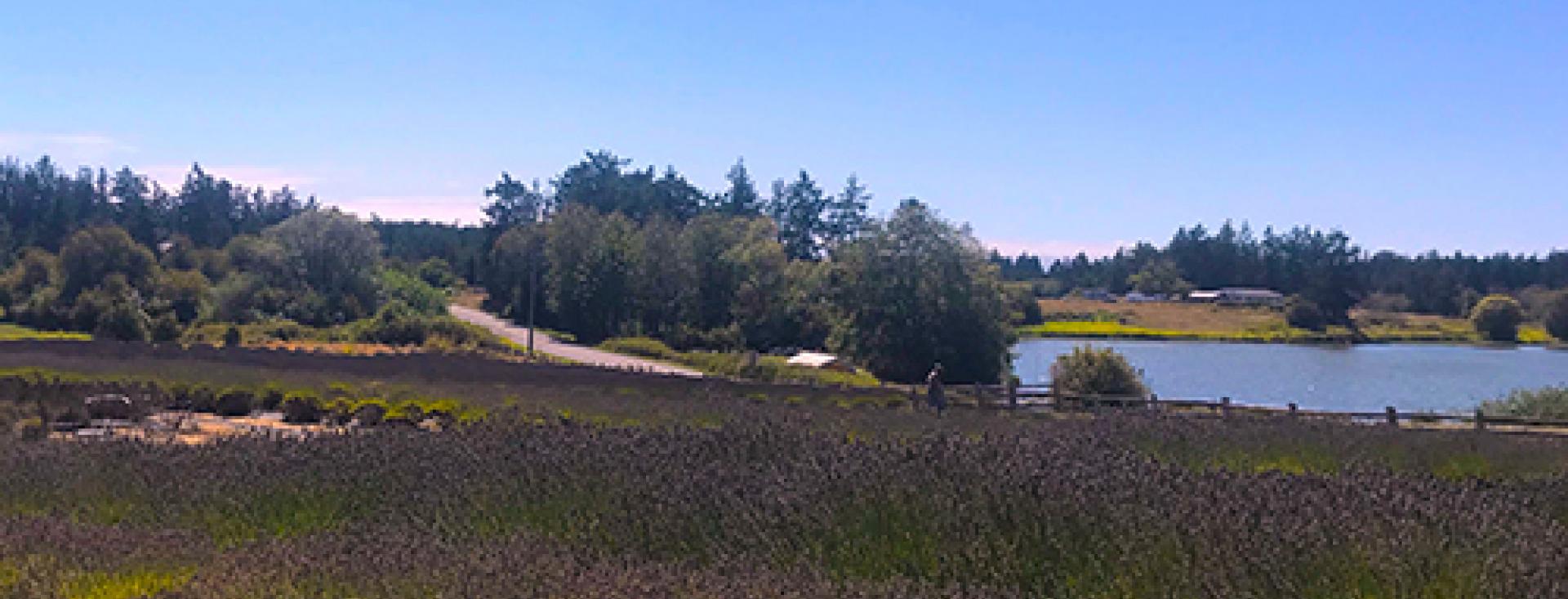 5 Truly Extraordinary Farms to Visit on San Juan Island | Bird Rock Hotel